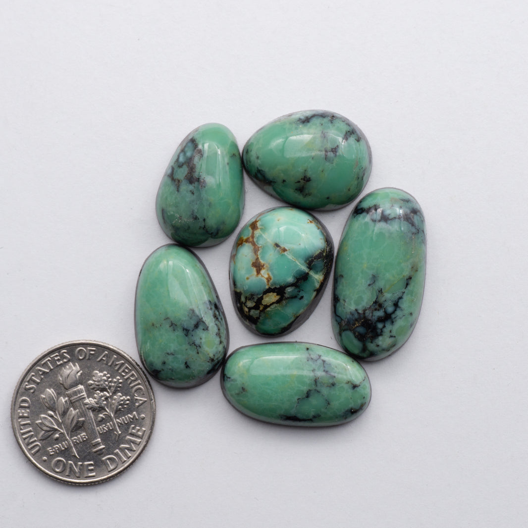 Clearance Section/Cutting Edge Turquoise