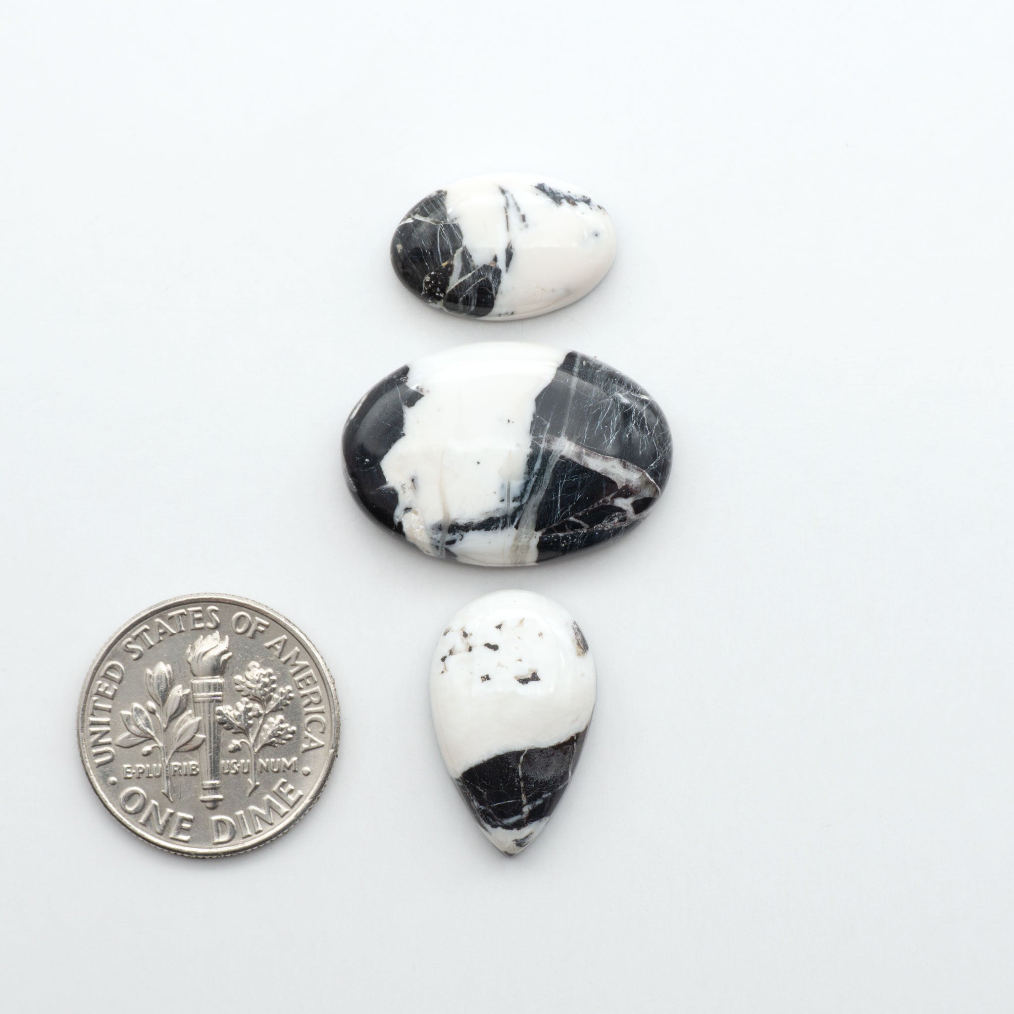 White Buffalo Cabochons by CuttingEdgeTurquoise.com – Cutting Edge ...
