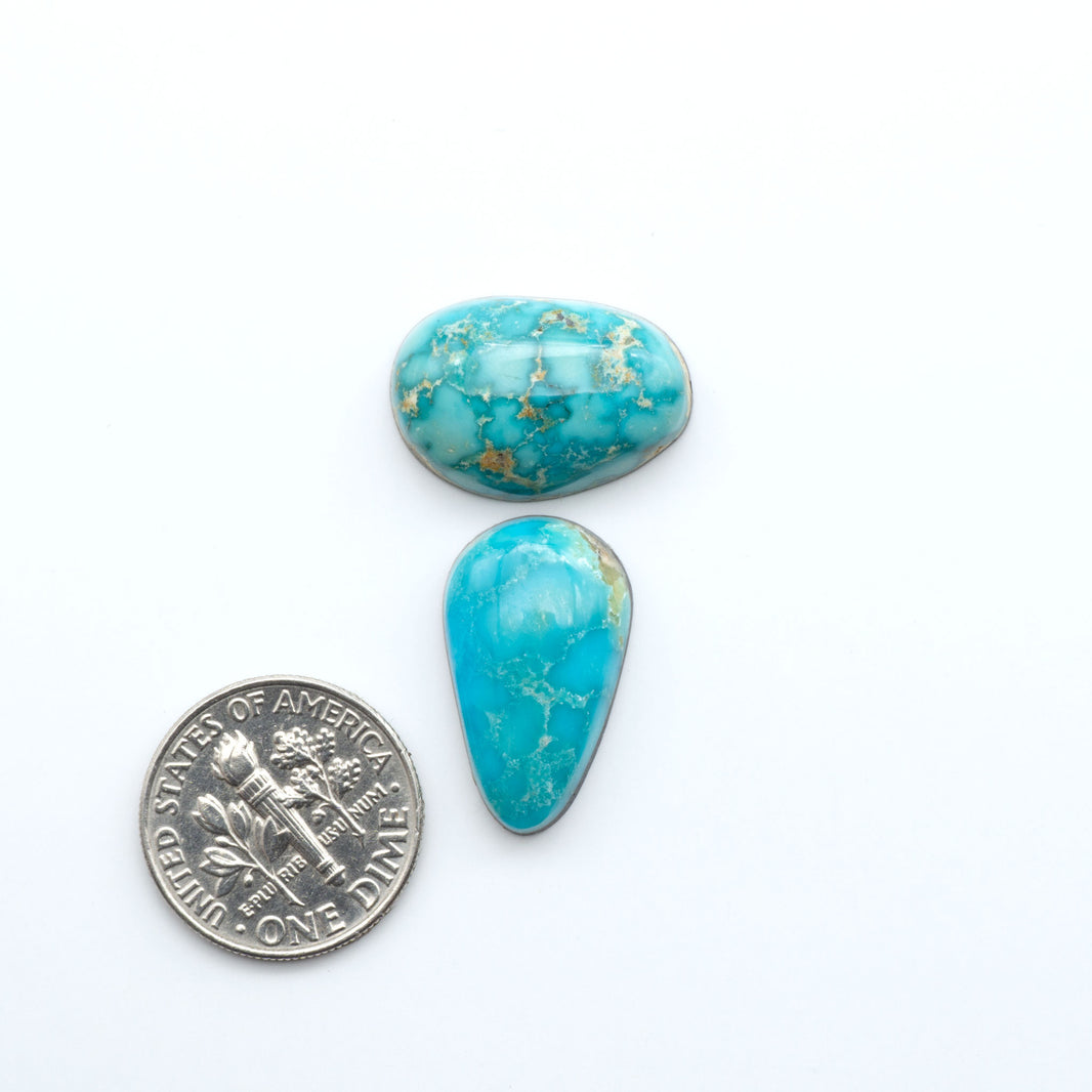 Fox Turquoise Cabochons – Cutting Edge Turquoise
